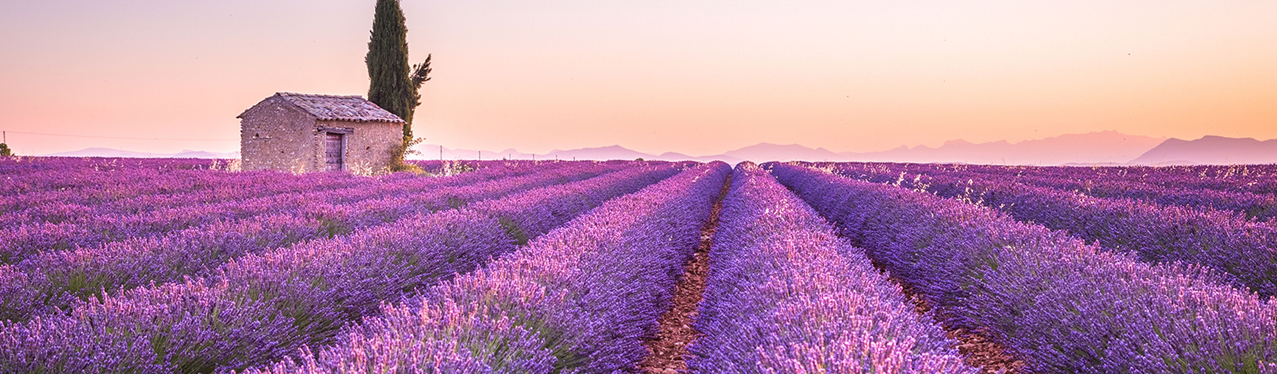 Everything to Know About Wellness Travel | EF Go Ahead Tours