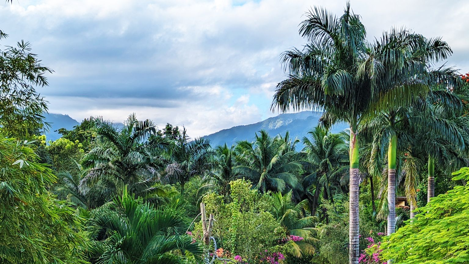 A Local’s Take on the Best Things to Do in Belize