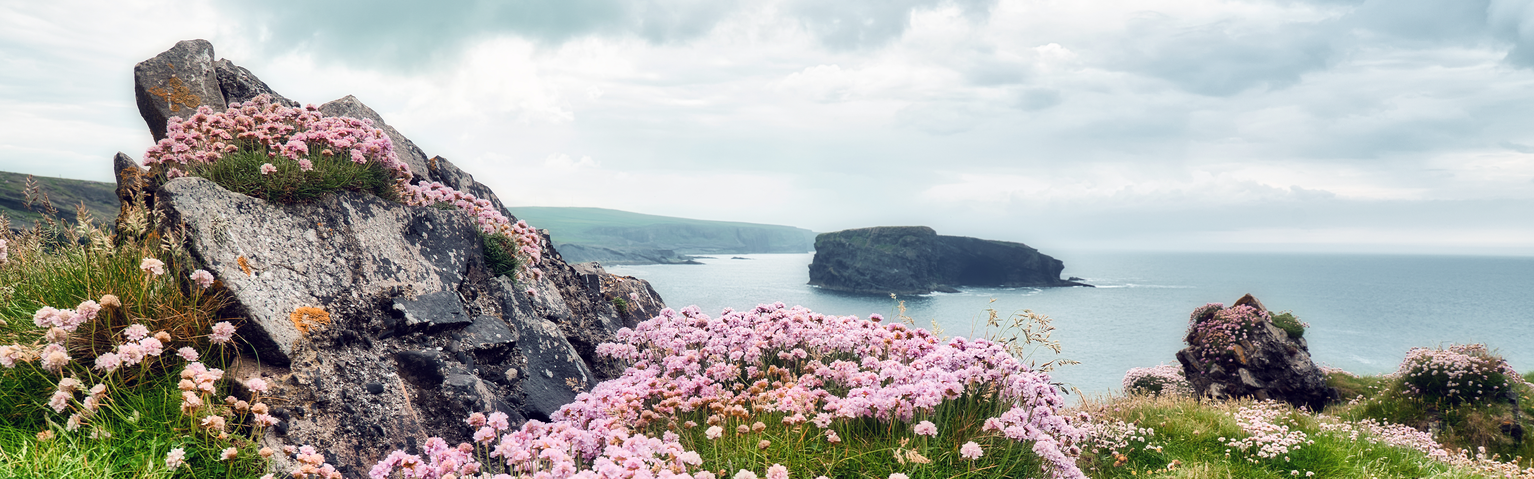 When's The Best Time To Visit Ireland? Here’s Your Season-by-Season ...