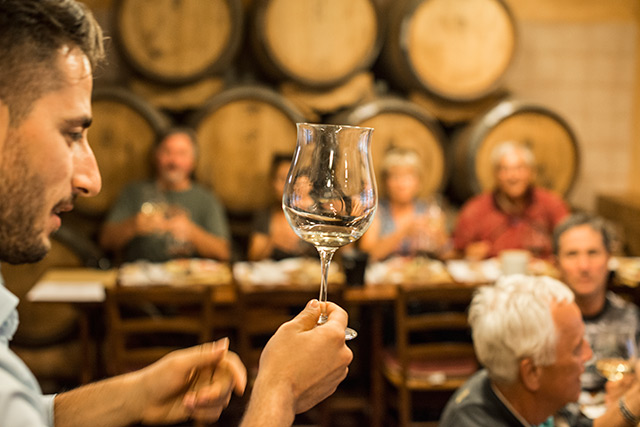 Italian Wine 101 | EF Go Ahead Tours