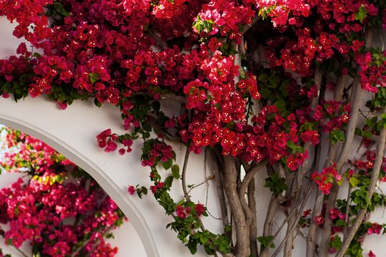 Exploring Spain’s Balearic Islands: Best Things To Do On Mallorca ...