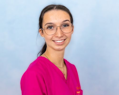 Meet The Team | Dentists, Nurse, Technicians & Office // 3Dental