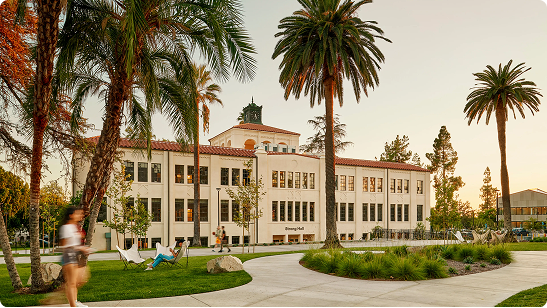 Programy w Los Angeles | EF