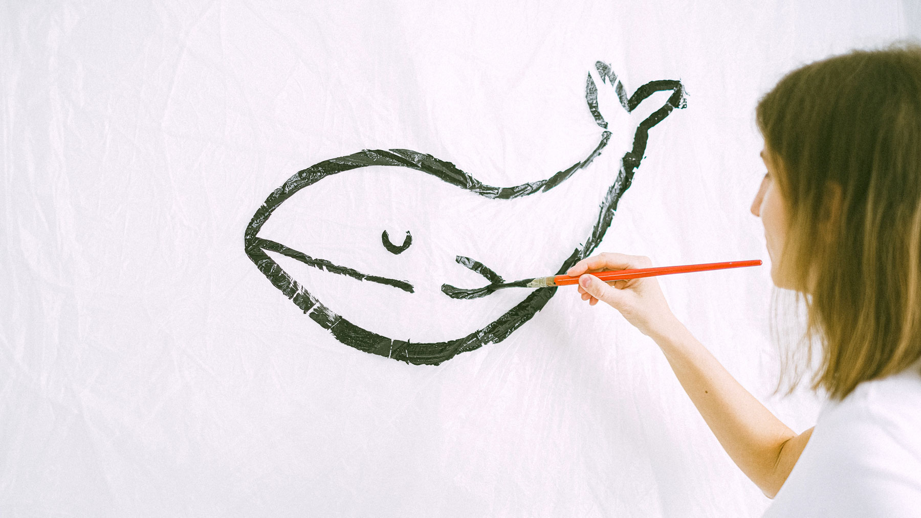 How to Draw a Whale?