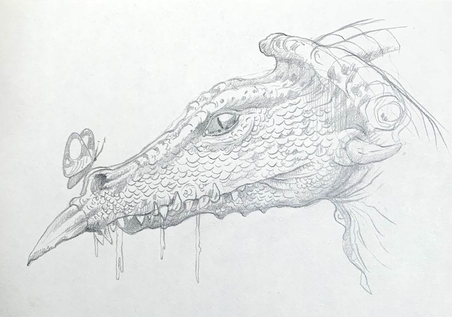 How to Draw a Dragon: Step-by-Step Guide and General Tips for Beginners