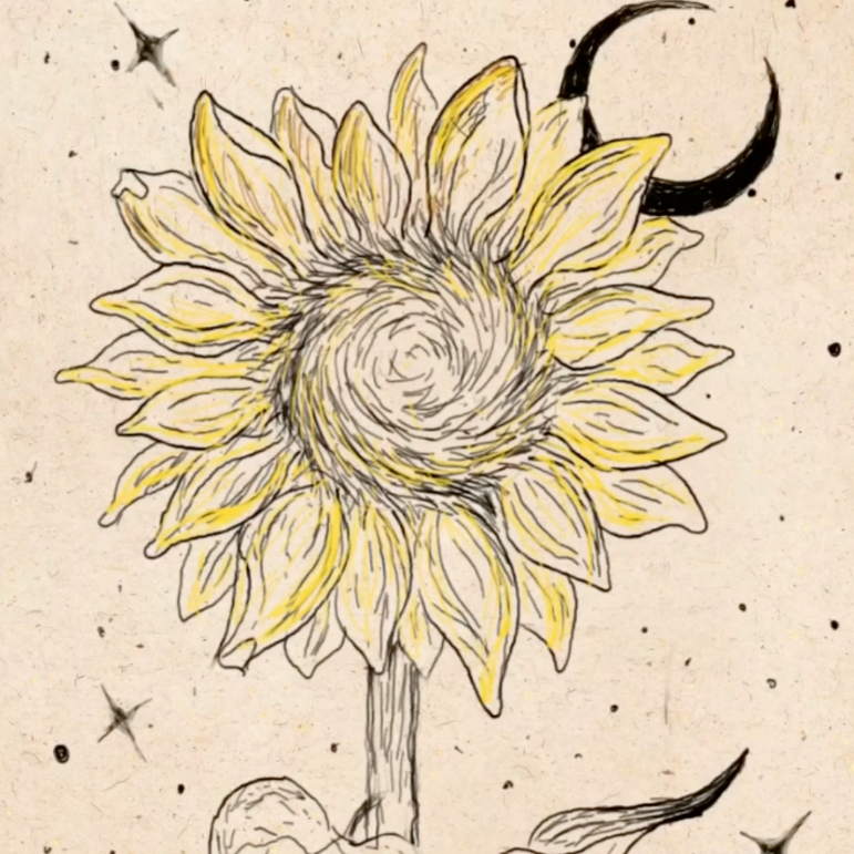 Repaper graphic drawing tablet | iskn