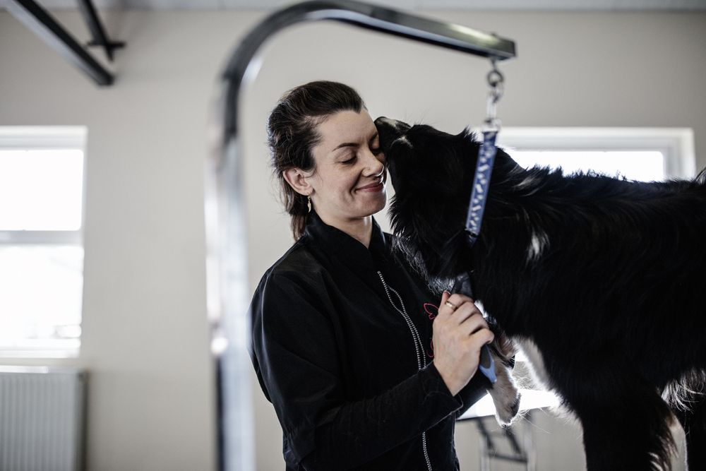 FET for Careers | FET