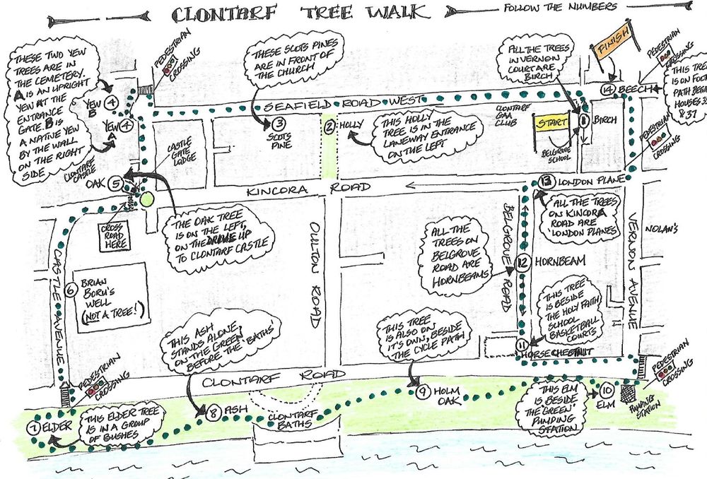 Clontarf Tidy Towns Tree Trail Walk | Love Clontarf