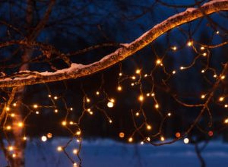 Christmas Tree Lighting Ideas | Lights.co.uk