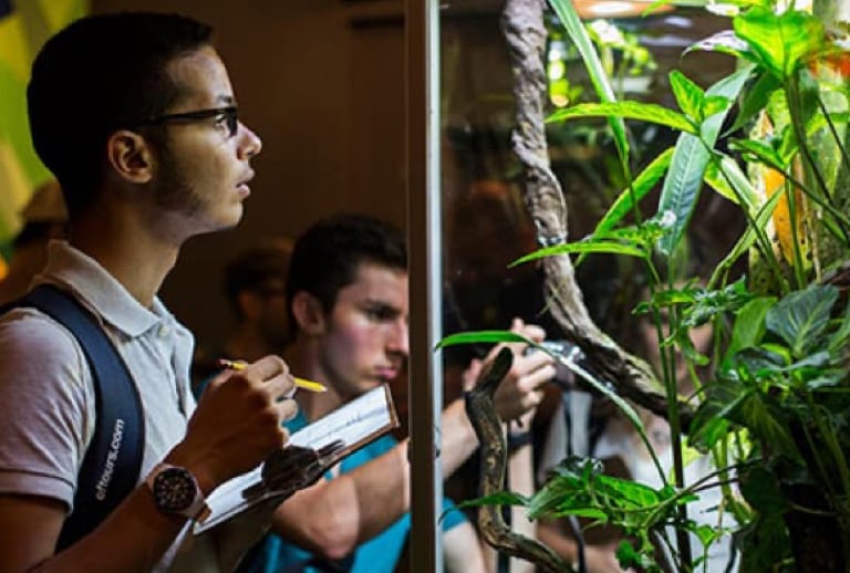 EF Education First - Canada