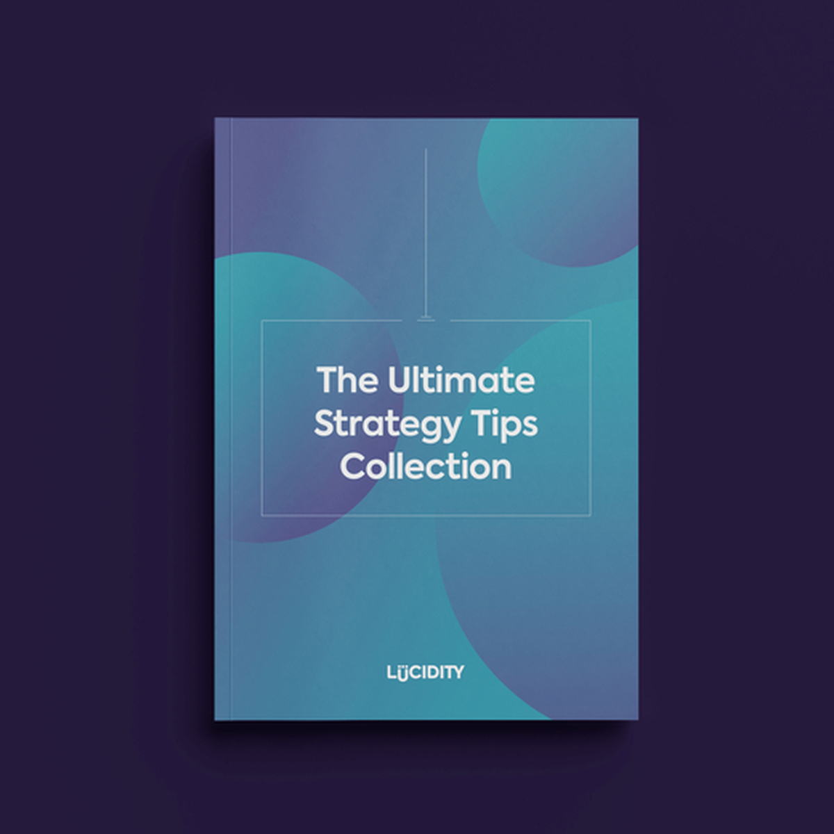 SME Strategy Tips From Business Leaders | Resources | Get Lucidity