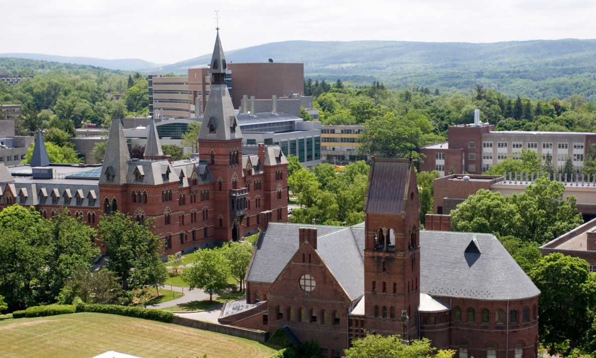 What Are the Best Architecture Schools in the US in 2025?