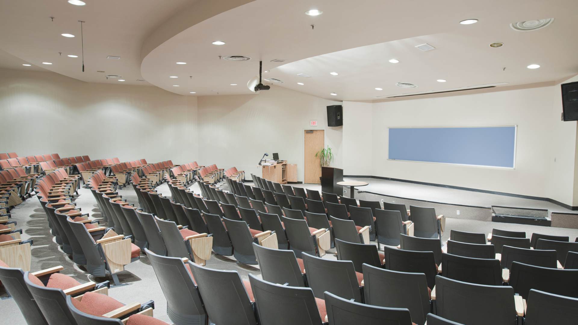 What Is a Minor in College? Key Facts & Expert Advice