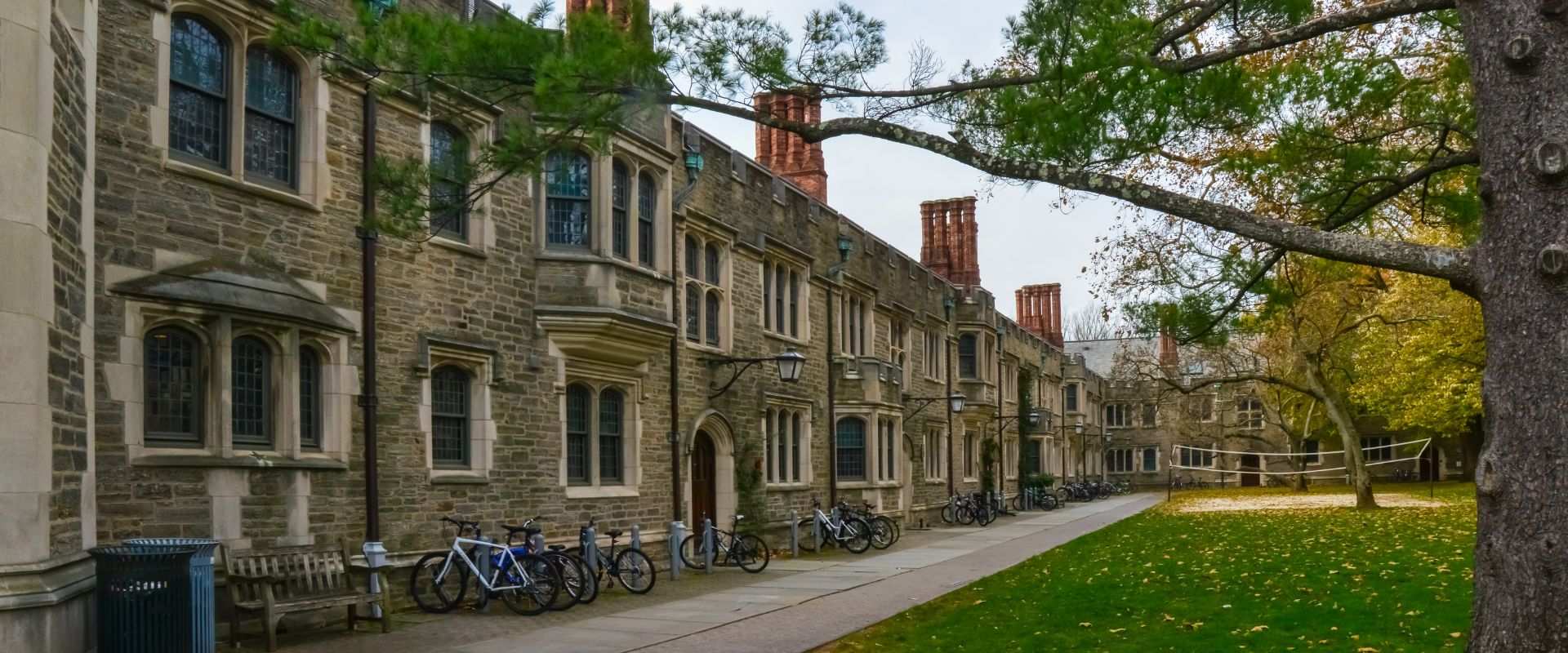 What Are the 12 Ivy League Universities? - Crimson Education