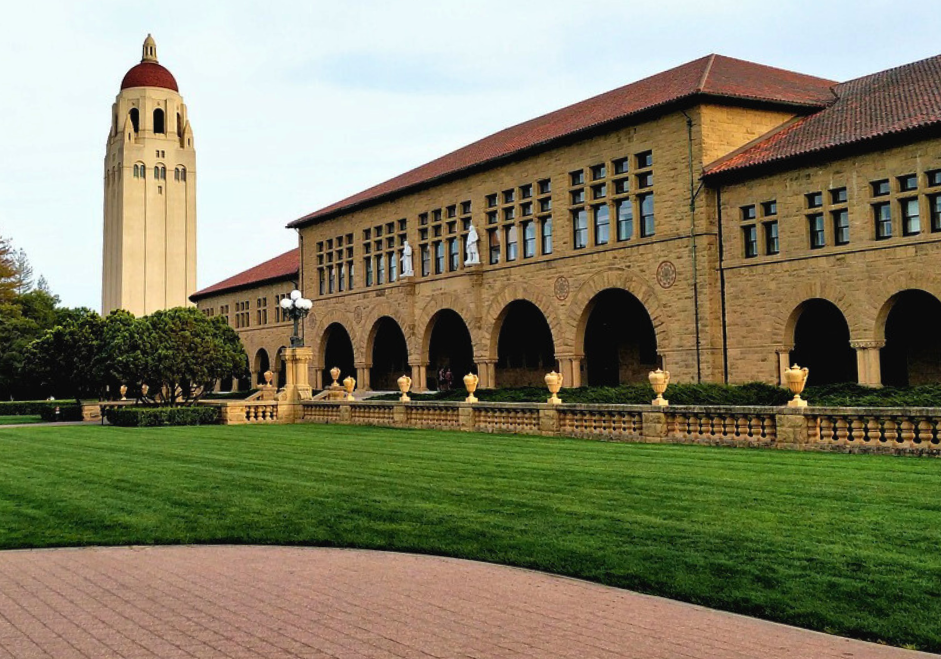 Stanford: saiba como estudar na universidade