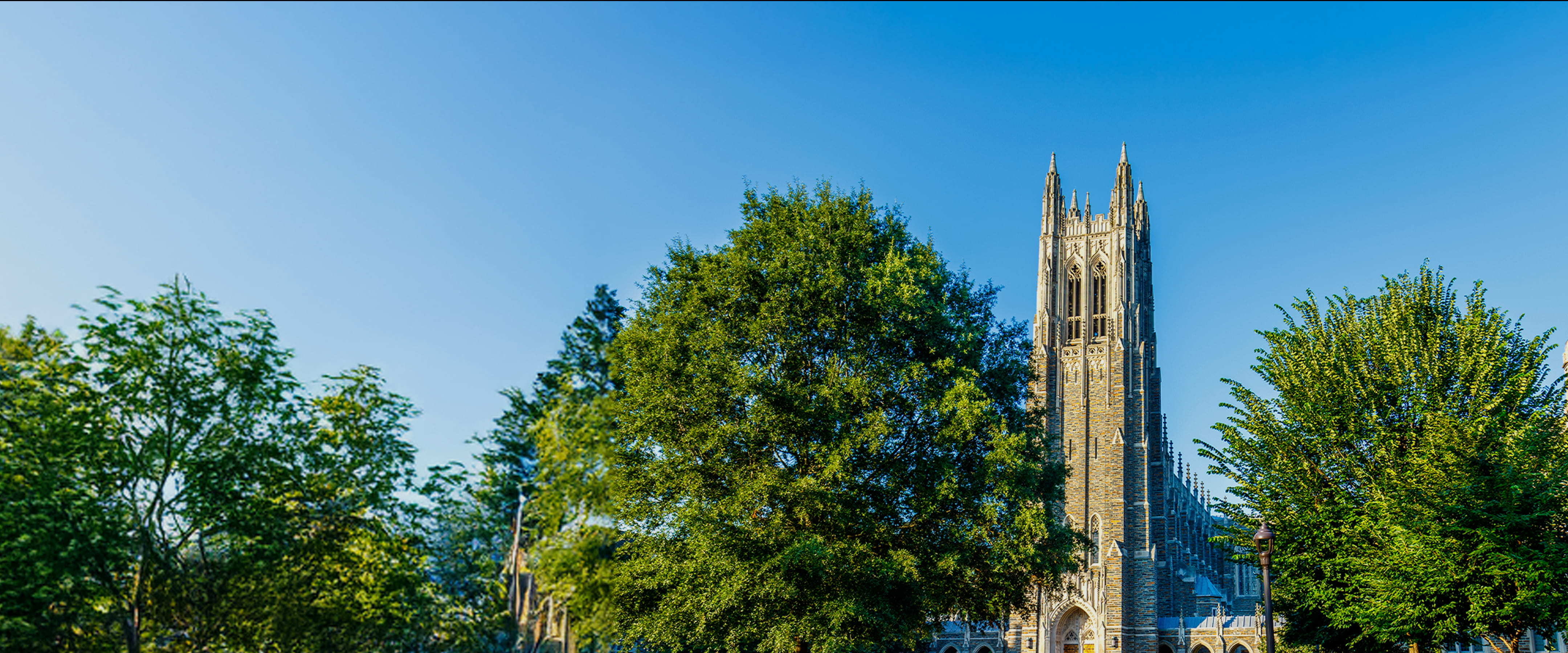 Duke Dreamers: Your Comprehensive Guide To Gaining Admission