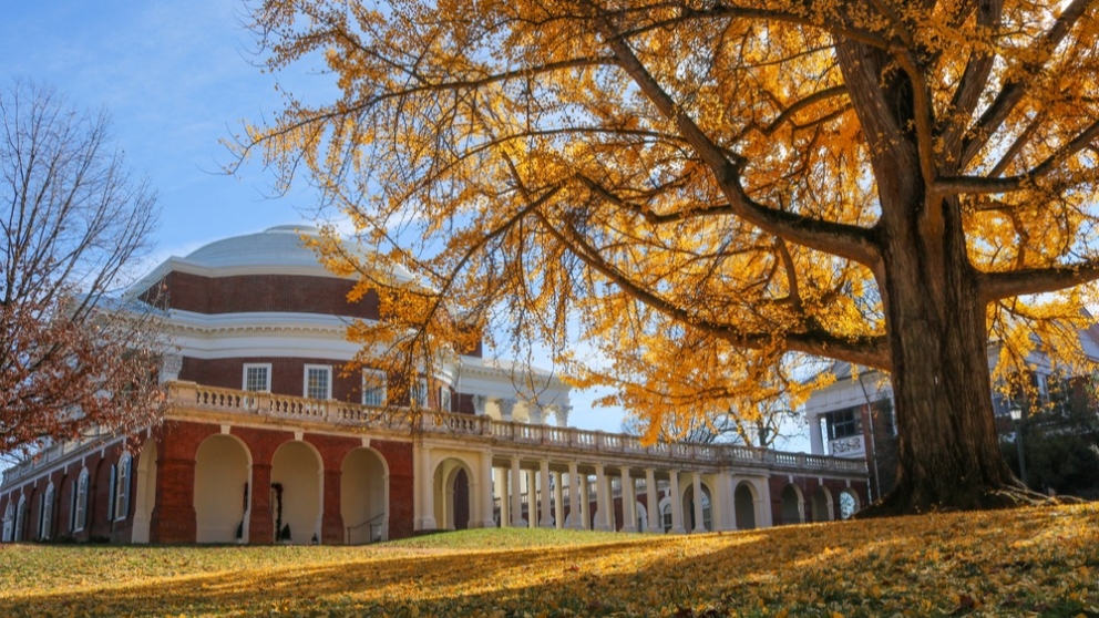 UVA's Acceptance Results for the Class of 2029