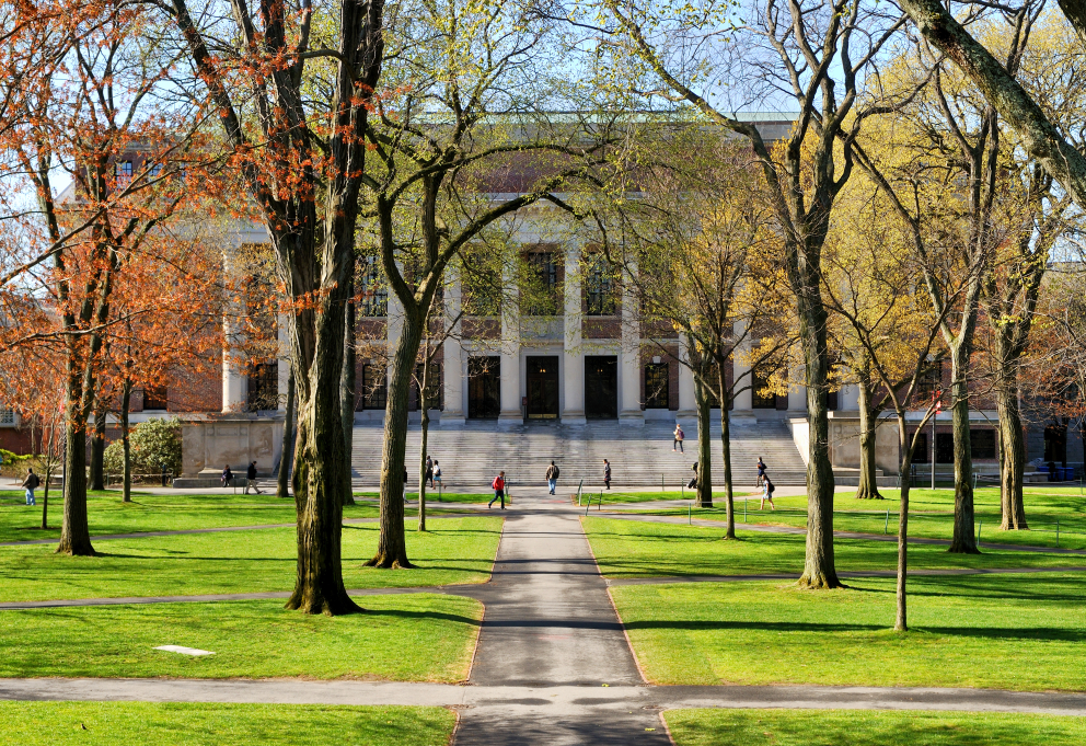 College Yield Rates: Everything You Need To Know