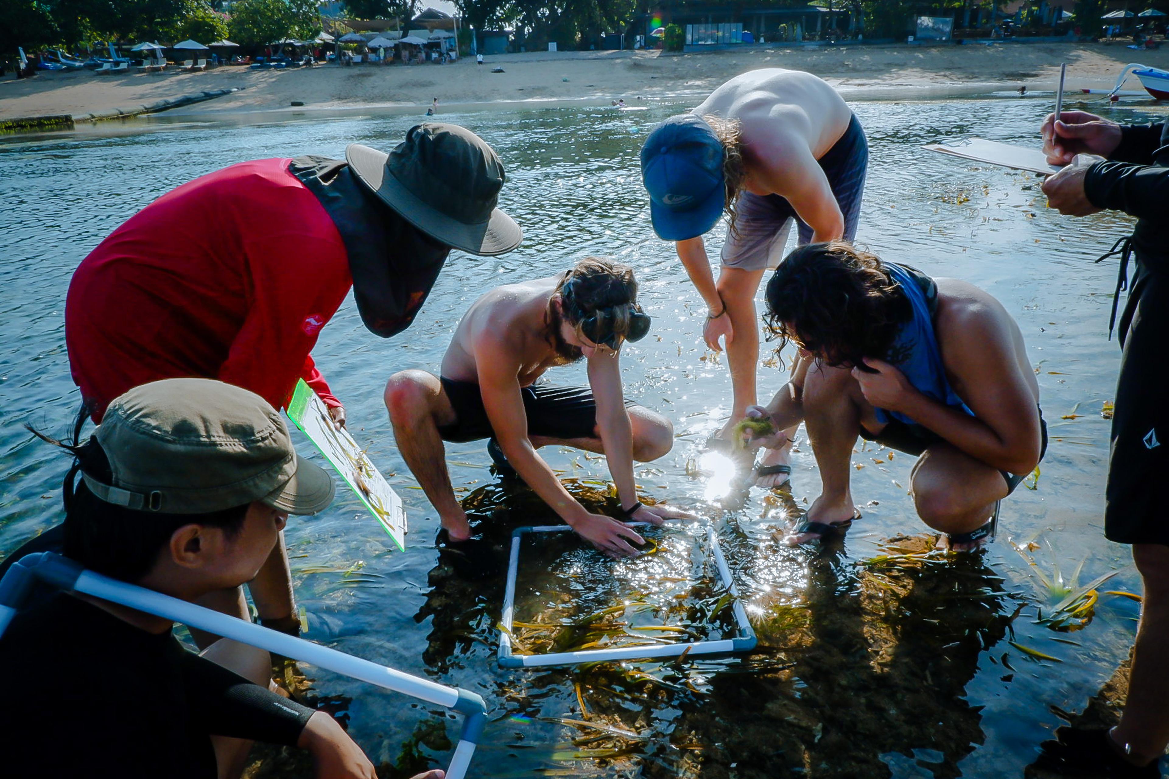 From Coral Reefs to Cross-Cultural Exchange: A Year of Milestones and ...