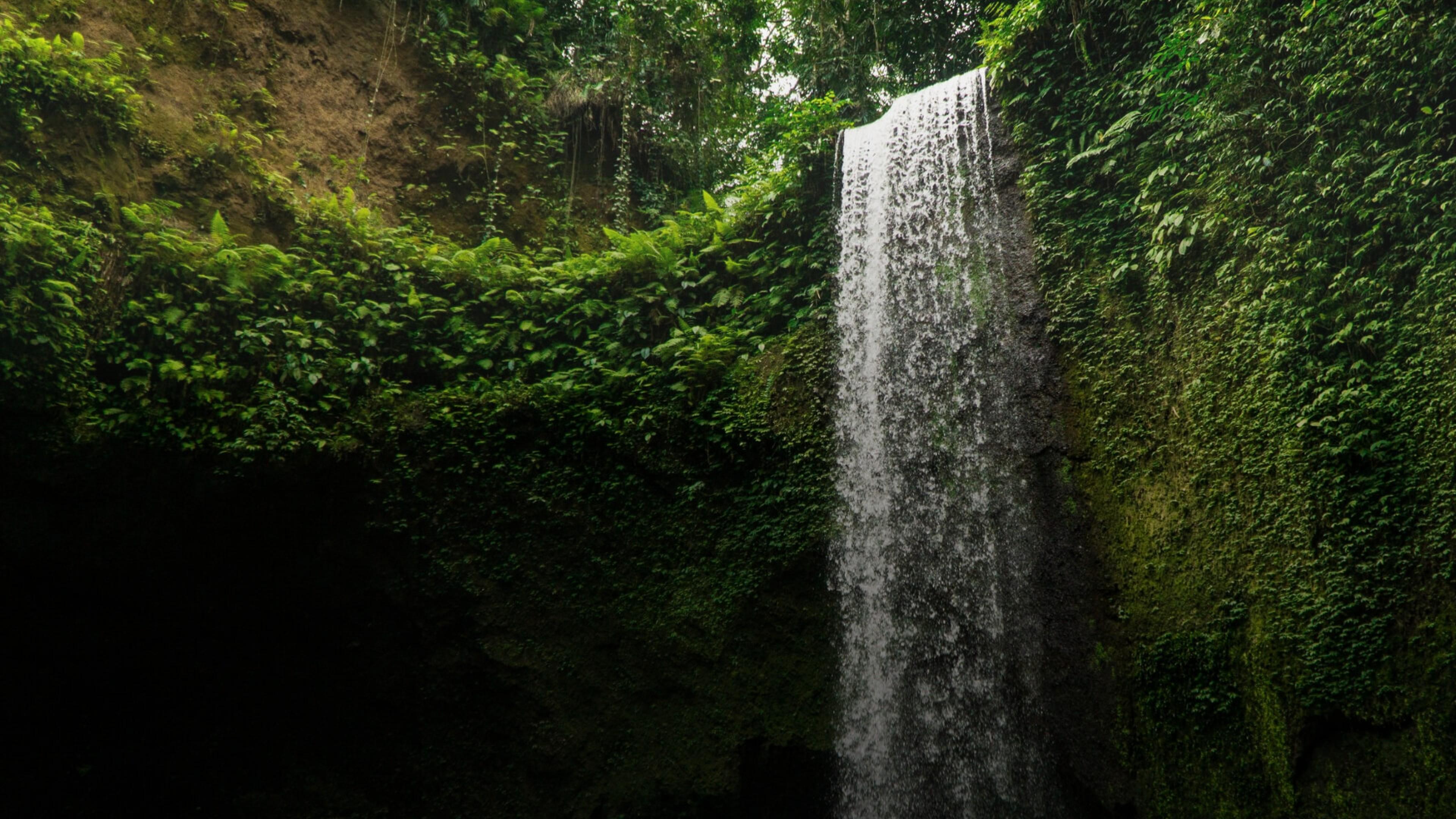 Study in Bali – Payment Overview | upskill.study