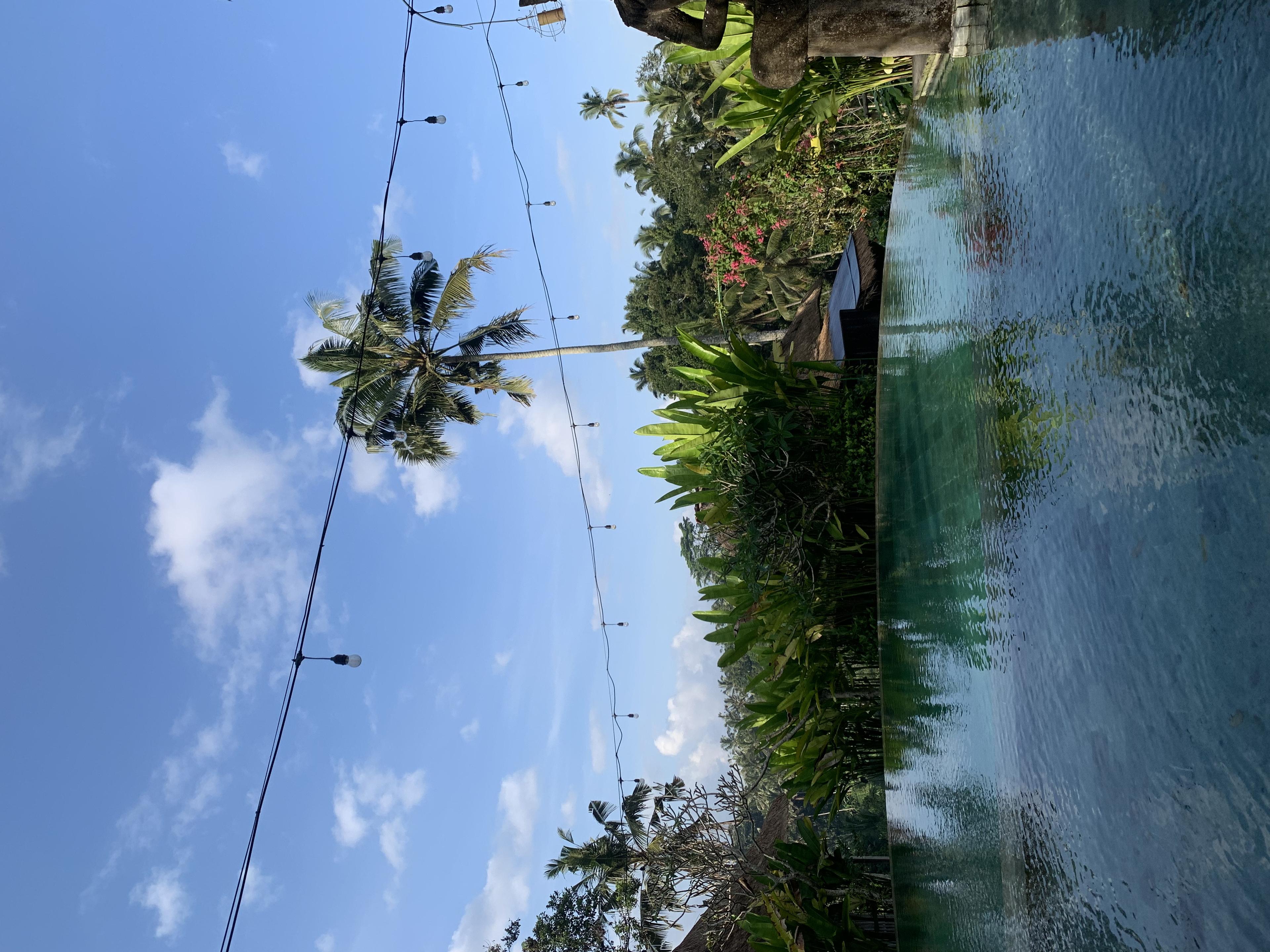 Upskill Study Bachelor Program: Tropical Biology and Conservation 2022