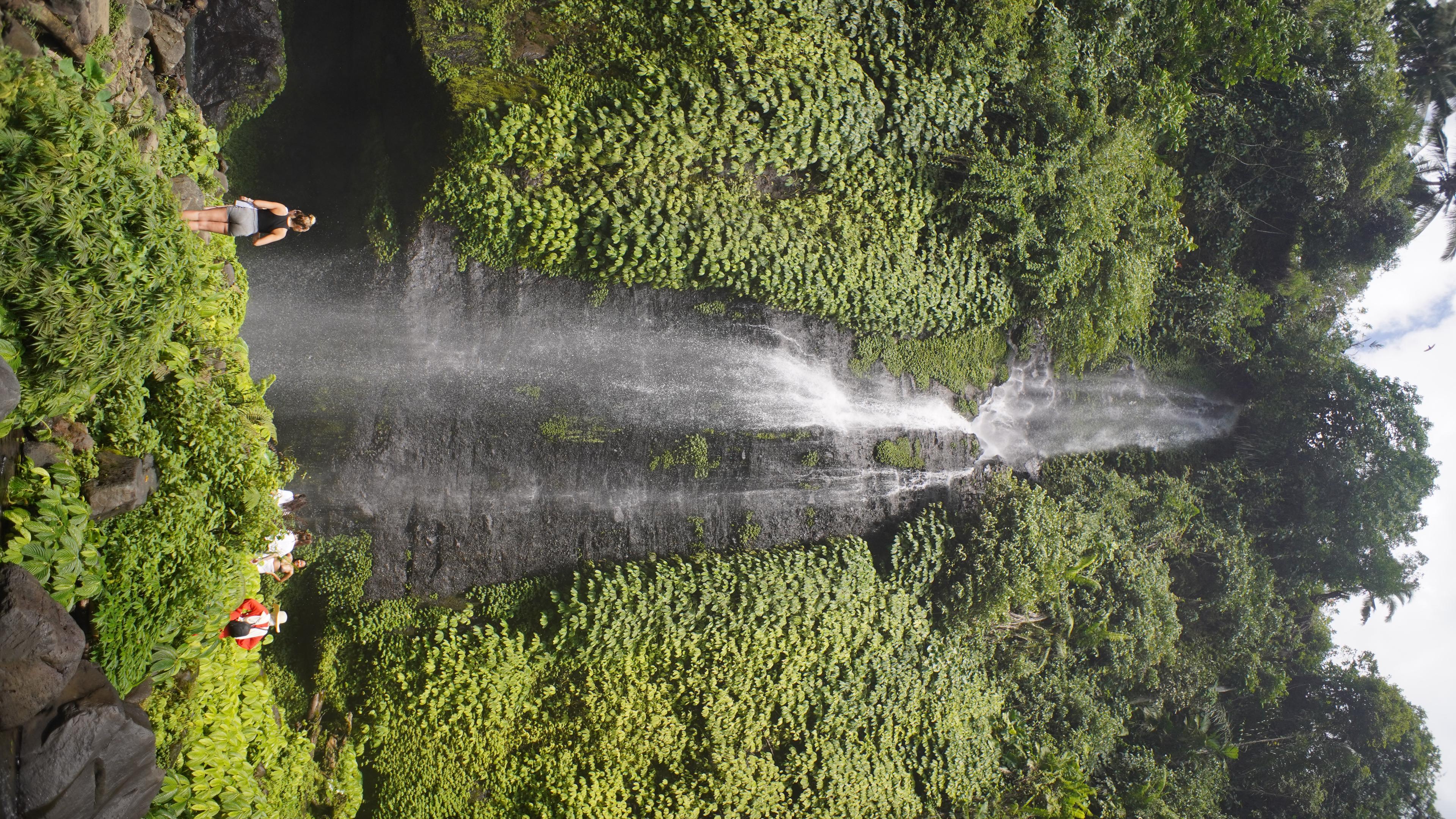 Gallery upskill Bali