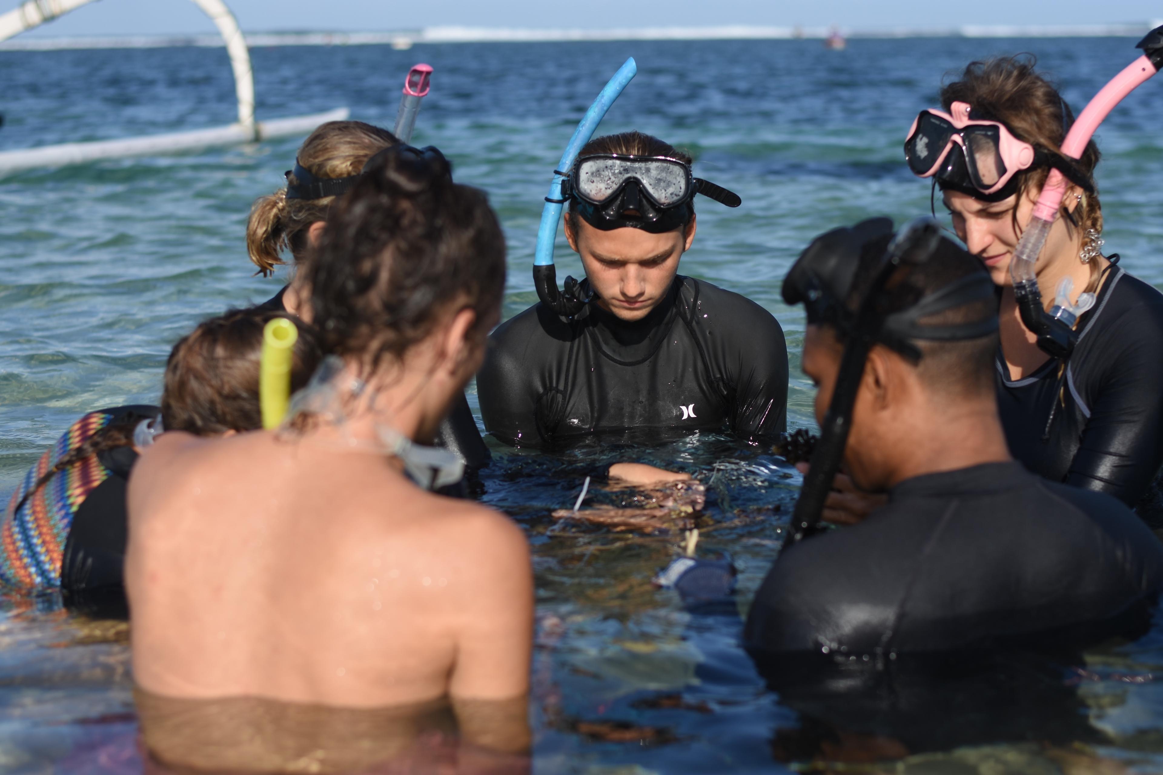 upskill Udayana Students interview: Corey's Journey into Bali's Tropical Biodiversity