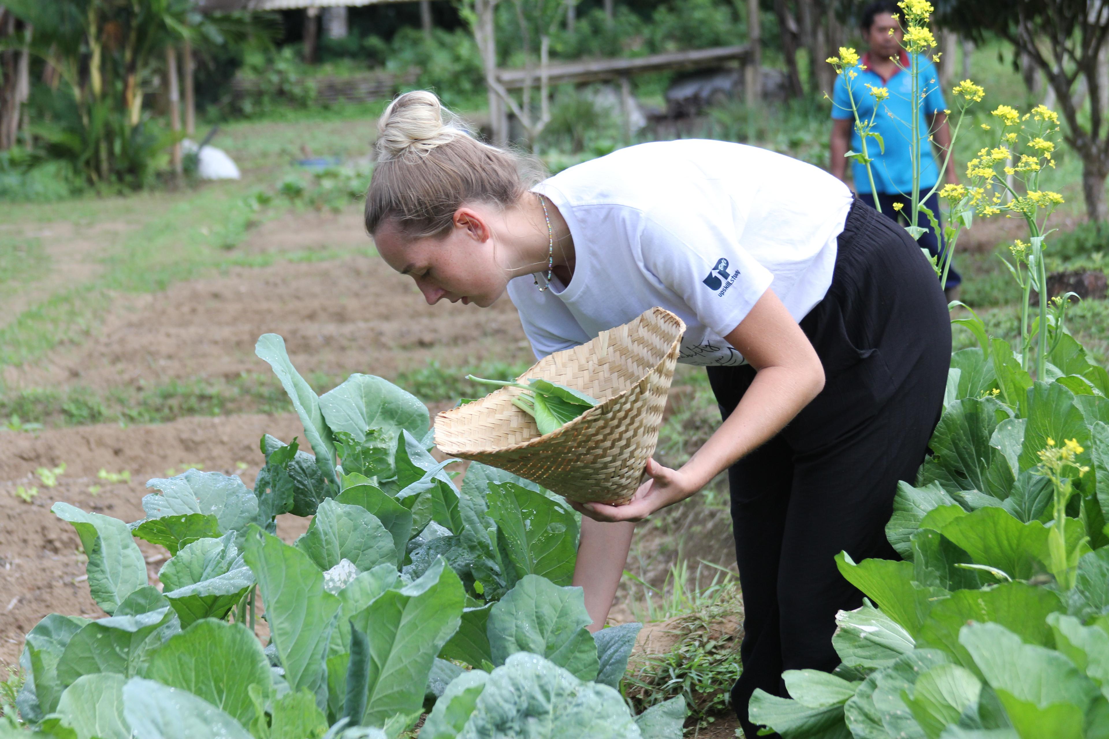 Gallery upskill Bali