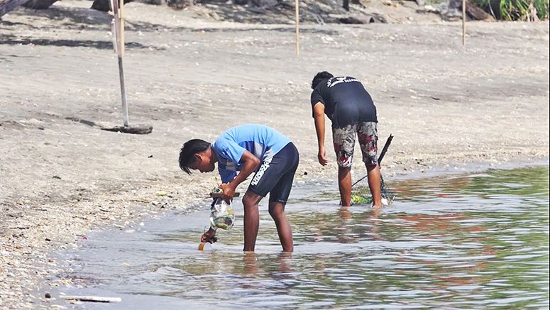 Intro Video upskill Study – Tropical Study Programs