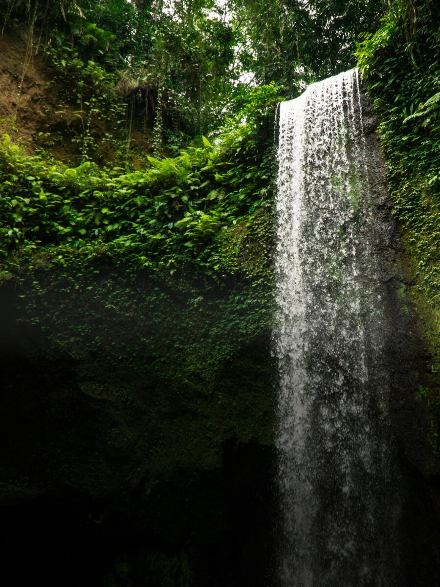 Study in Bali – Payment Overview | upskill.study