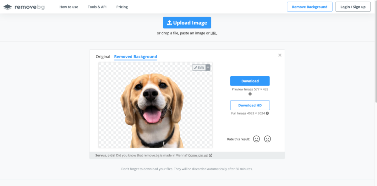 如何在PowerPoint中消除图片背景 – remove.bg Blog