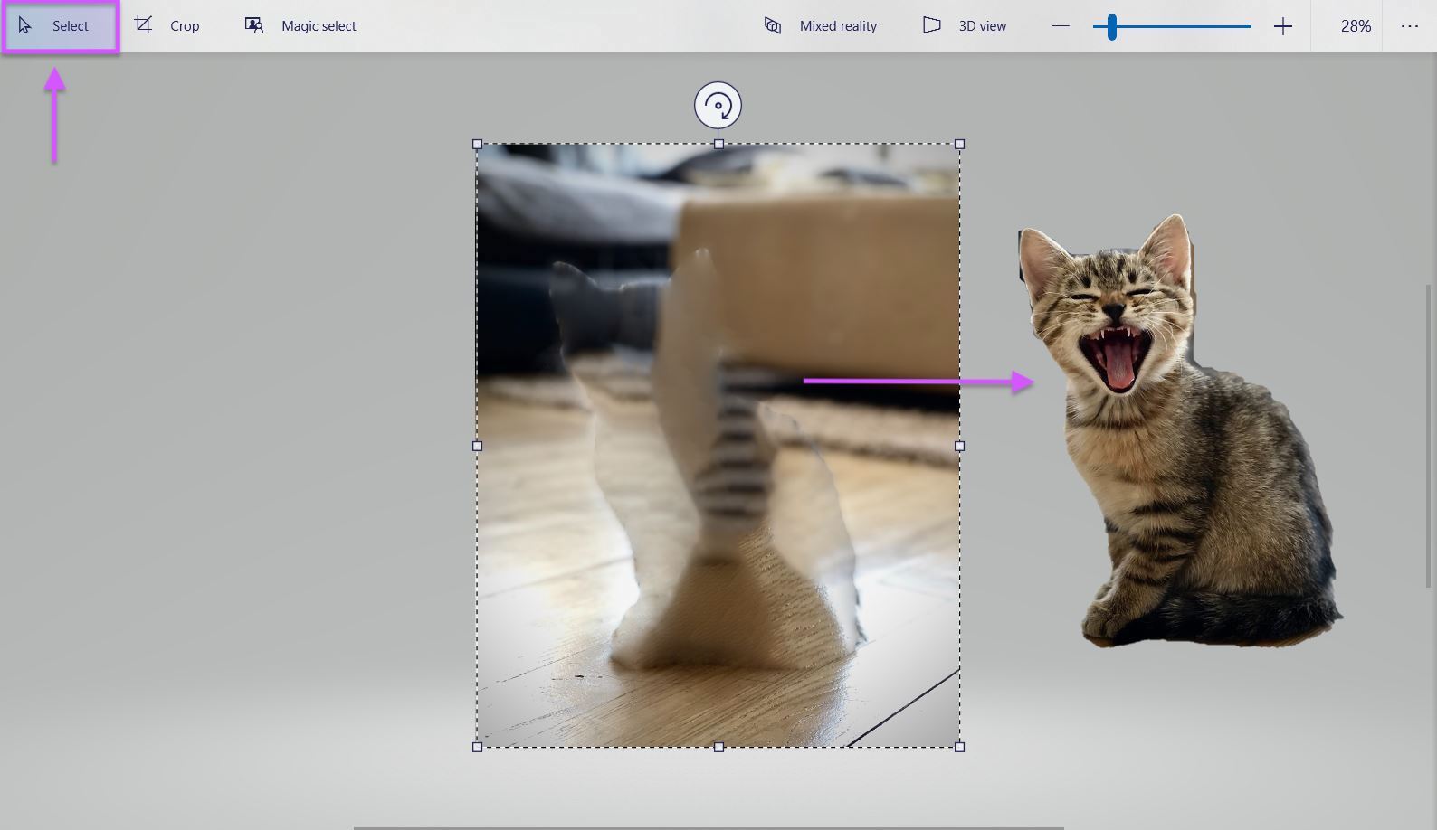 How To Make A Background Transparent In Paint And Paint 3D – remove.bg Blog