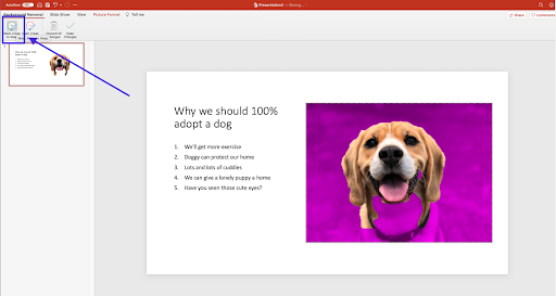 How to Remove the Background from a Picture in PowerPoint – remove.bg Blog