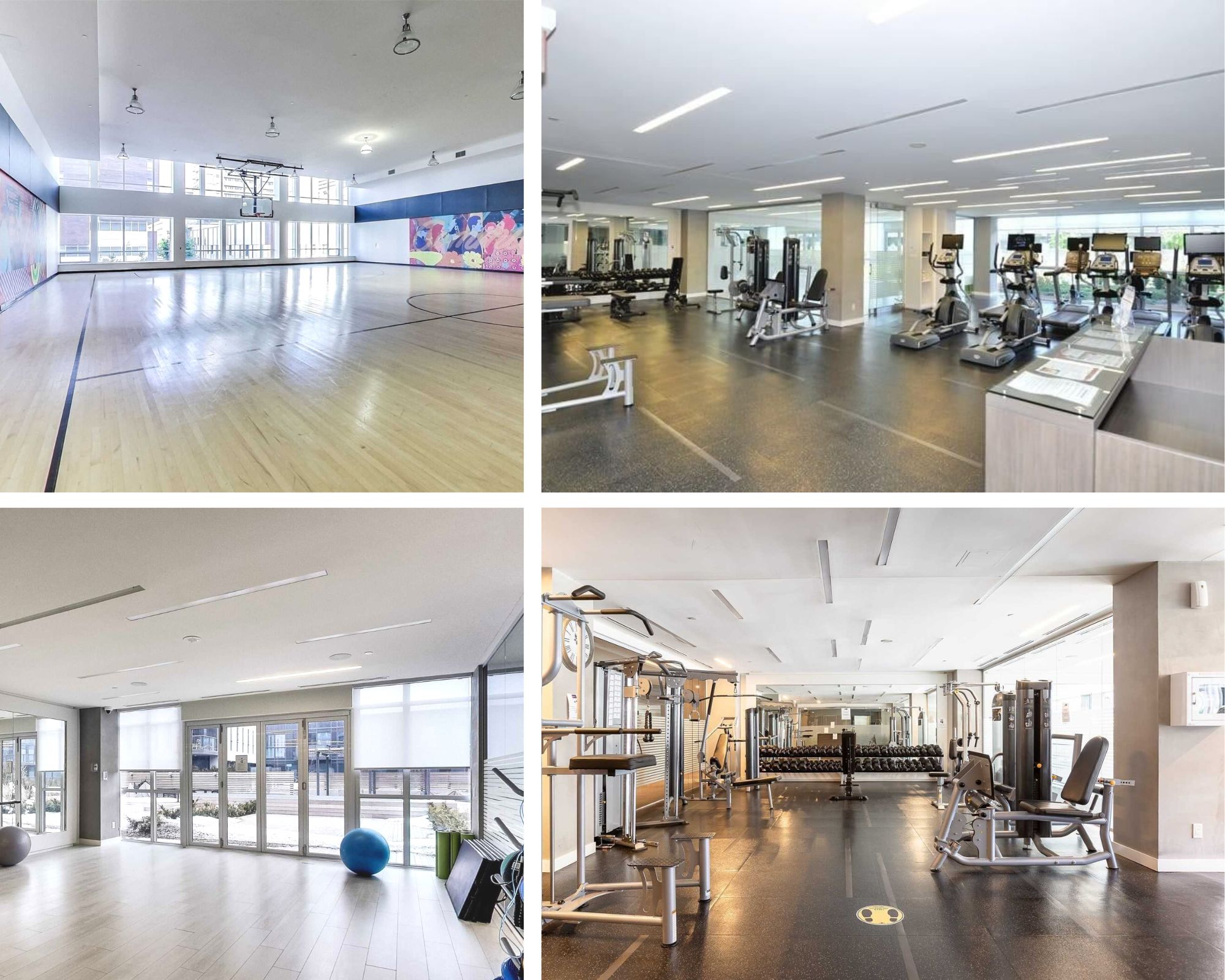 Elevate Your Fitness: 10 Best Condo Gyms in Toronto | Condos.ca Blog