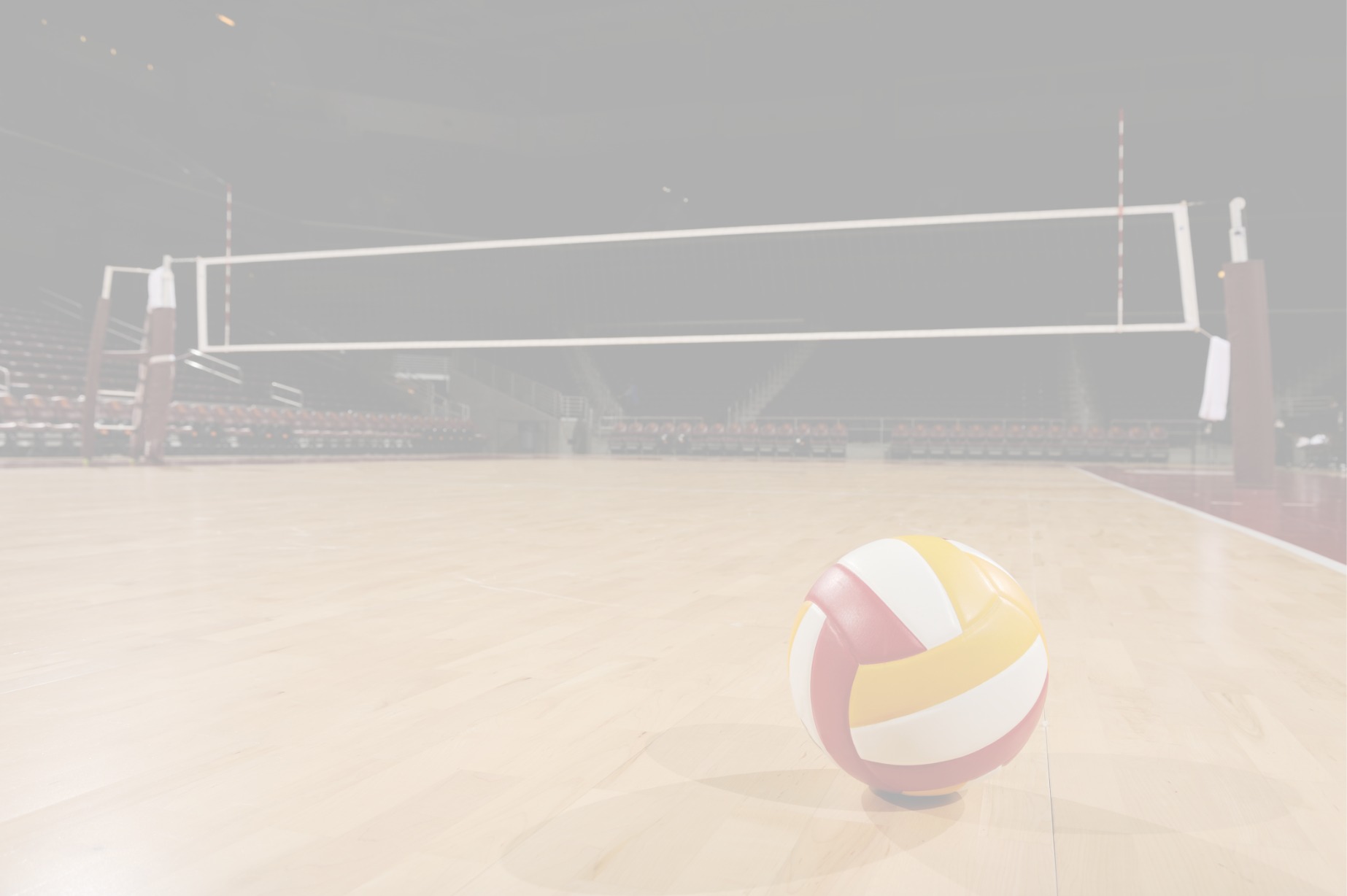 Volleyball Drills - Reception | planet.training