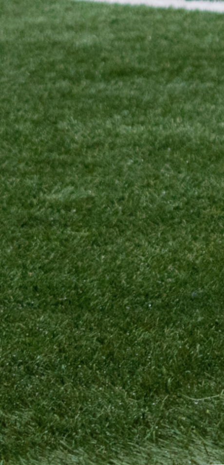 planet.training – Team & Club Management Platform for Sports