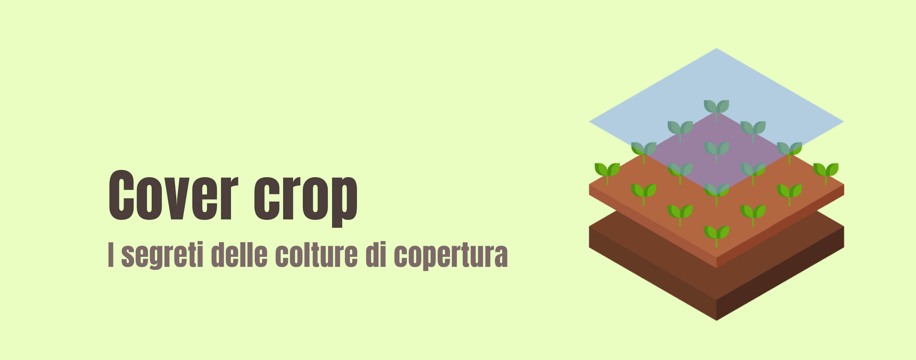 I segreti delle colture di copertura | Conoscere e utilizzare le cover ...