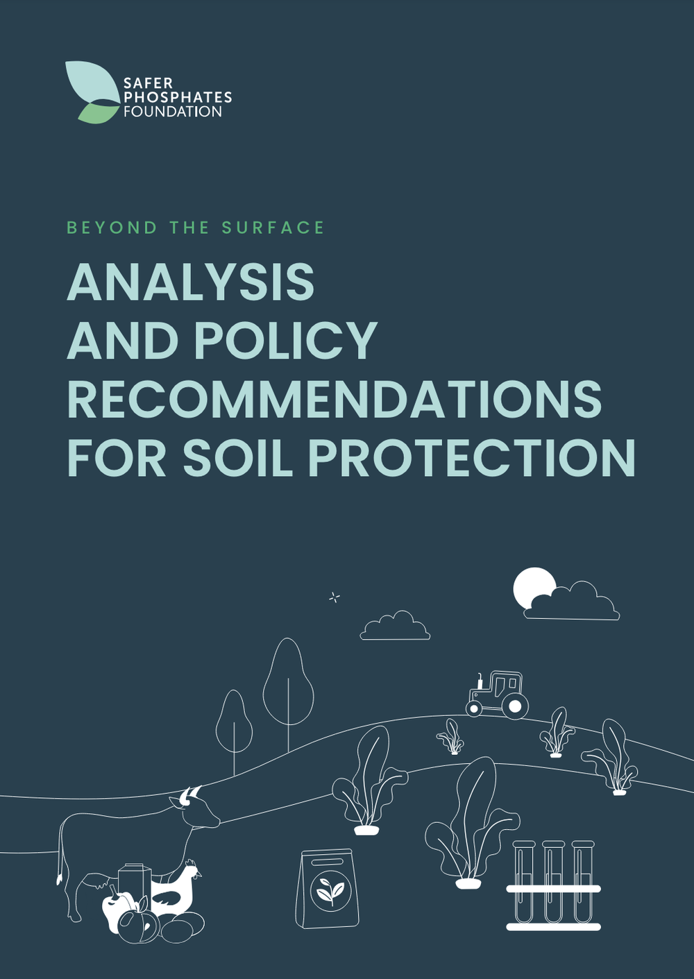 Publications | Safer Phosphates