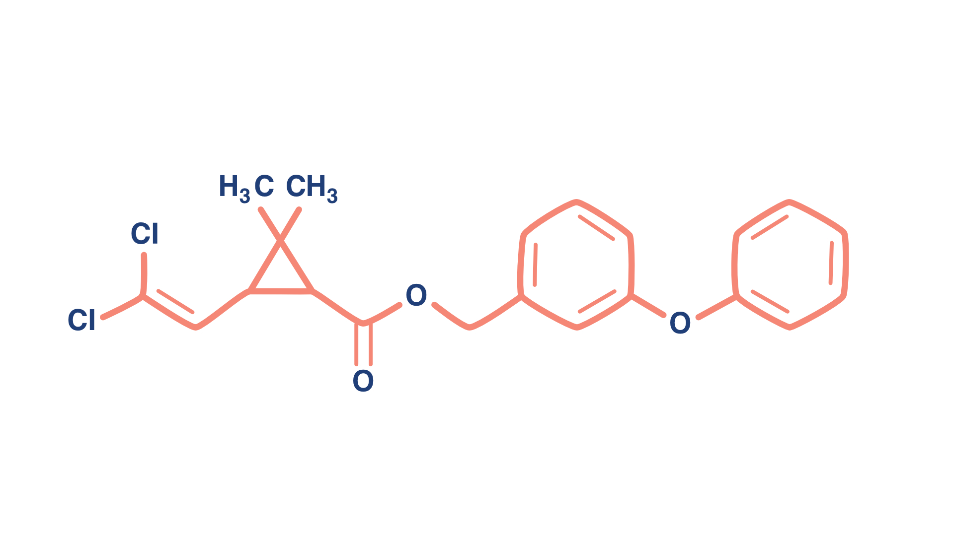 Permethrin - Pyrethroid zur Bekämpfung von Insekten - Alle Infos zu ...