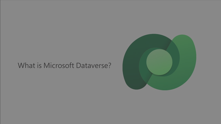 The Business Value of Microsoft Dataverse | Insights