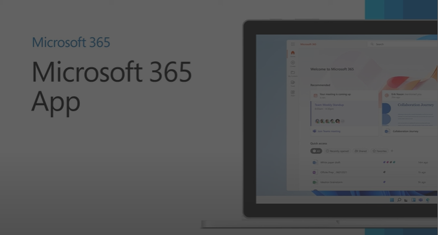 Introducing The New Microsoft 365 App | Insights