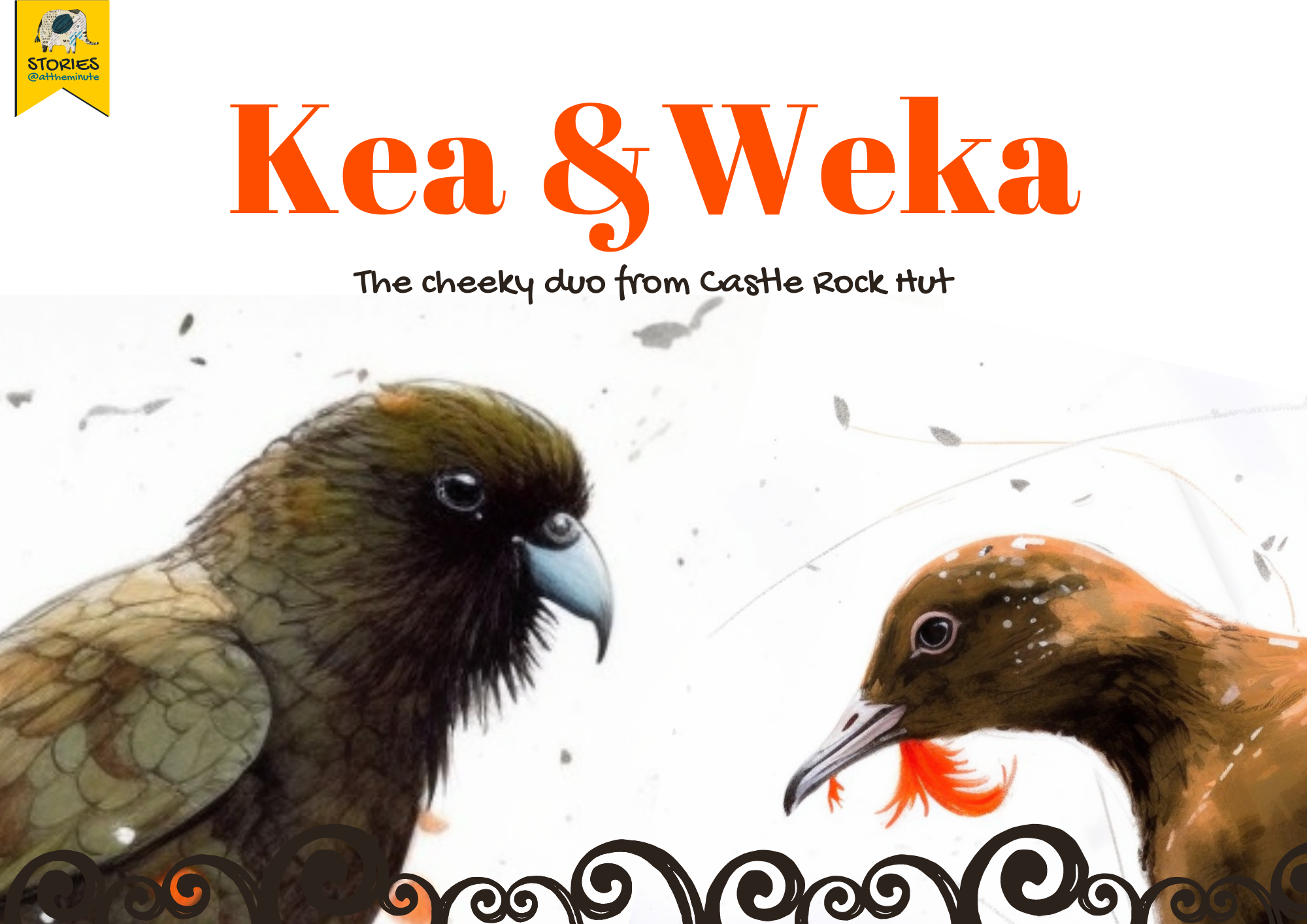 Story: Kea & Weka | at the minute