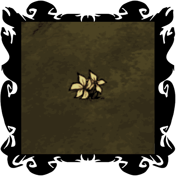 Don't Starve Together (DST): Beginner's Sanity Guide | at the minute