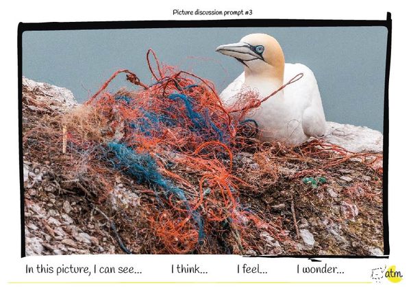 10 Picture Discussion Prompts - See Think Feel Wonder | at the minute