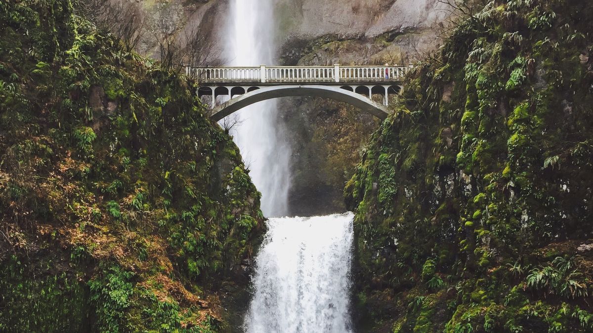 Hands-on with Enin - Part 2/3: Getting knee deep, as we integrating ...