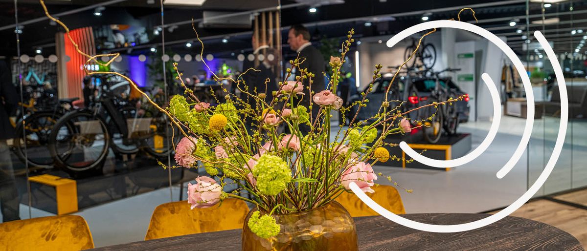 Van den Udenhout kiest voor een dynamische huisstijl | Brabant in Business