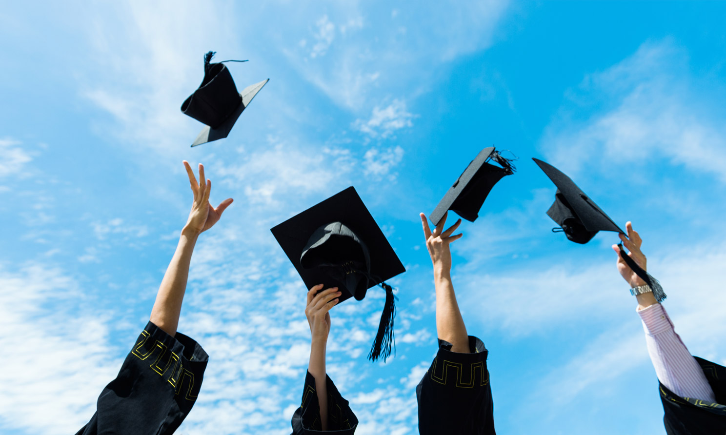 Opportunities for your university graduates