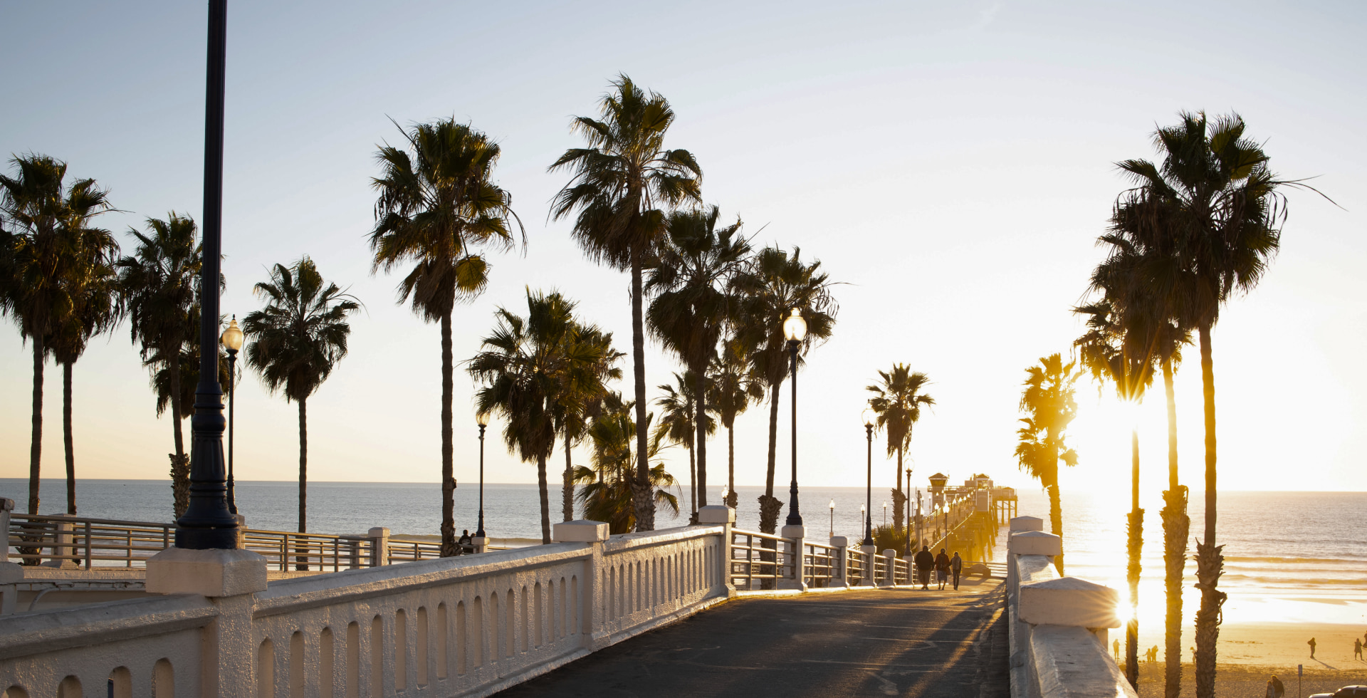 Software Development Company California I Selleo