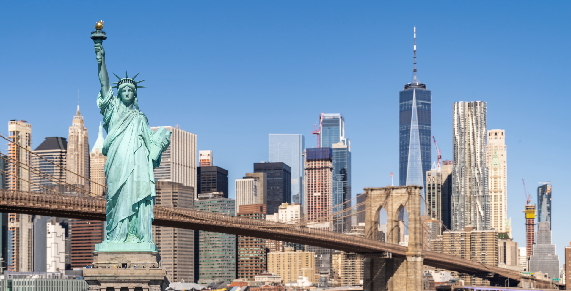 Software Development Company New York I Selleo