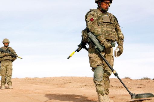 Plasterer and Painter